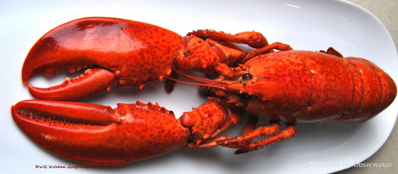Homar pieczony w maśle z przyprawami