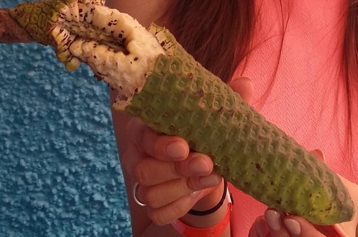 Banano-ananas prosto z Funchal (jak Ronaldo!)