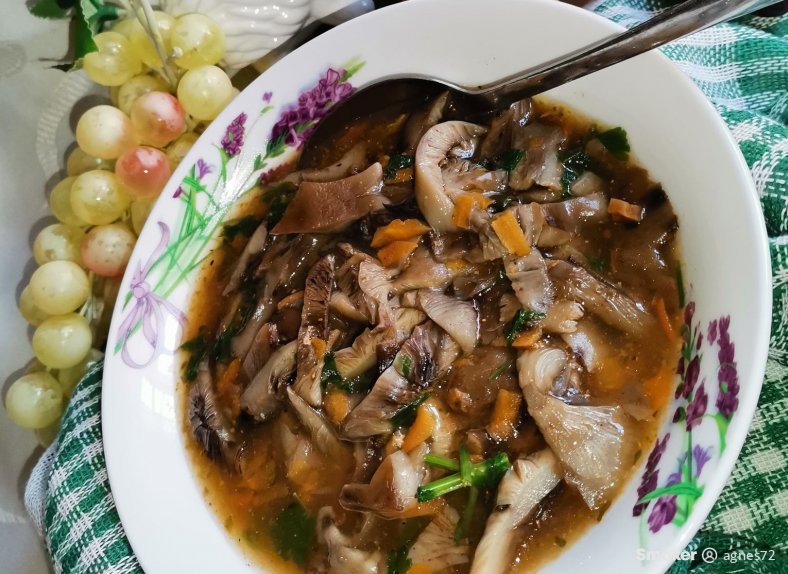 Flaczki z grzybów opieniek