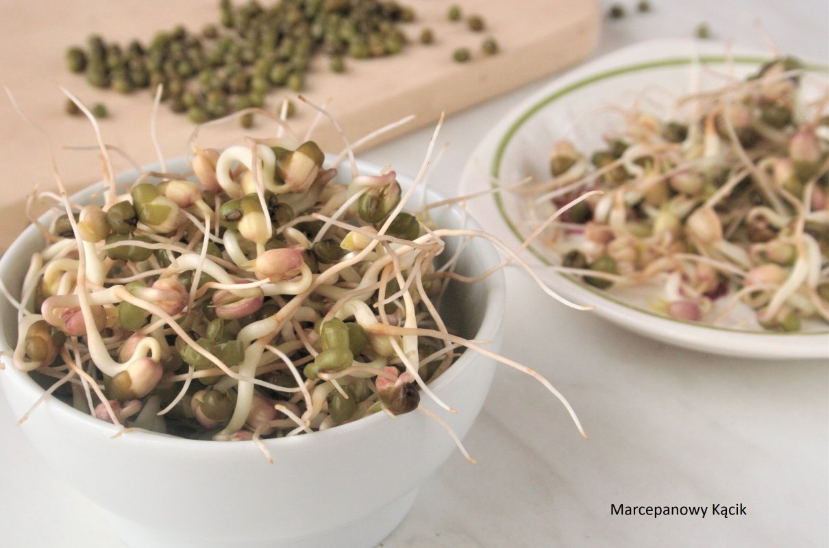 Kiełki fasoli Mung