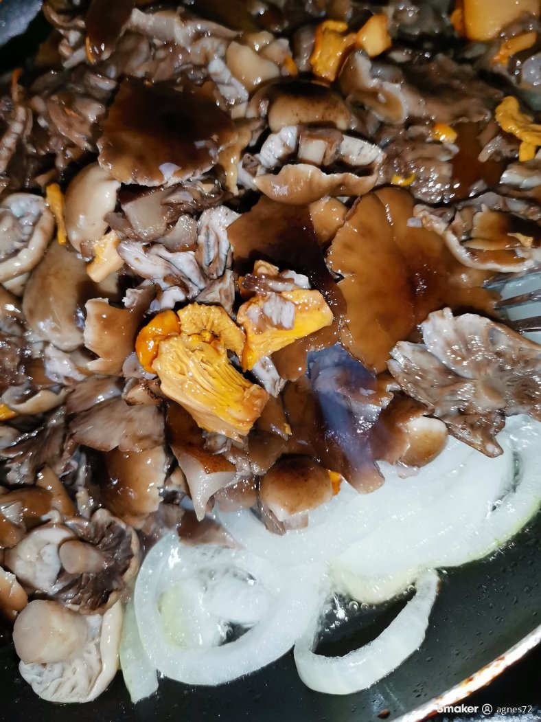 Grzyby opieńki smażone z cebulką