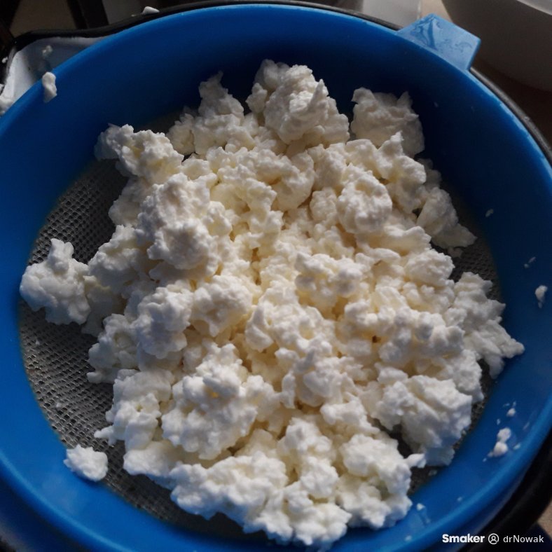 Serek wiejski (cottage cheese)