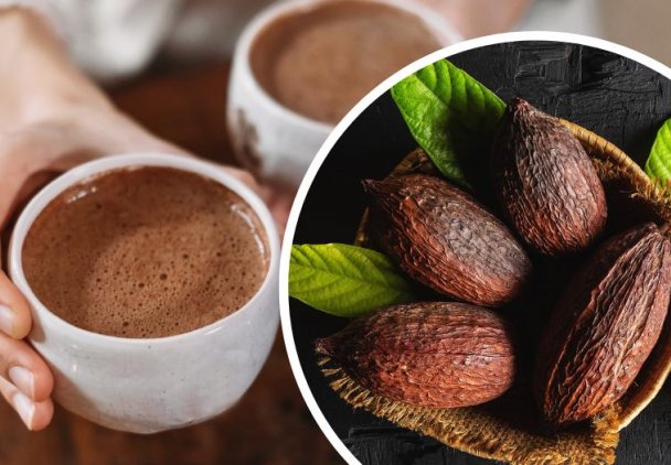 Jakie są właściwości kakao? Te osoby powinny je pić