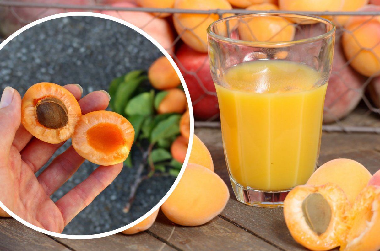 Sok z moreli – wartości odżywcze, właściwości, jak zrobić?