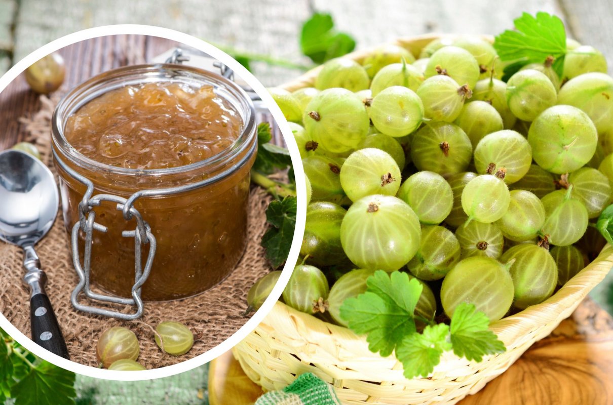 Jakie wartości odżywcze ma agrest? Sprawdź, co możesz z niego zrobić