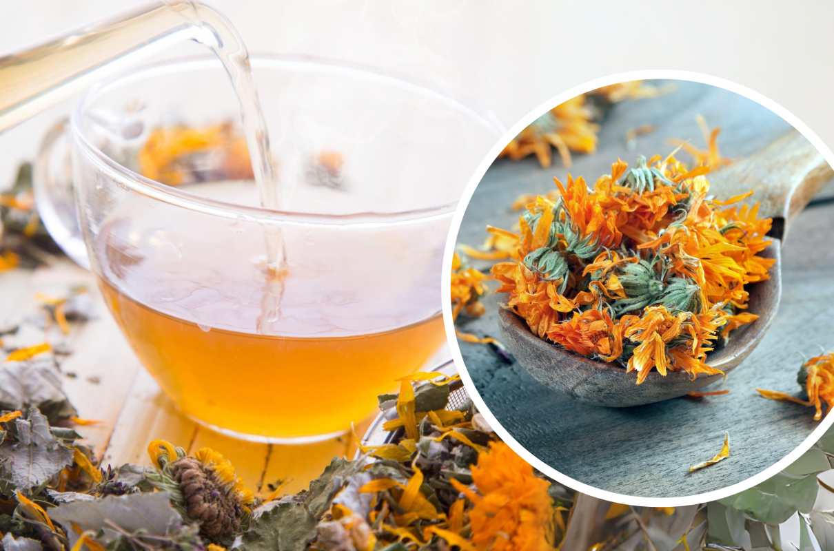 Jakie właściwości mają suszone kwiaty nagietka? Jak zrobić napar z suszonych kwiatów nagietka?