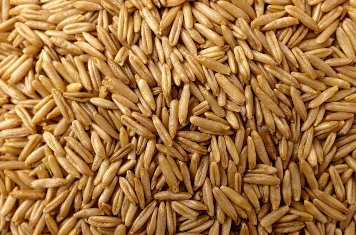 Jakie właściwości ma kamut? Kamut w kuchni – co można zrobić?