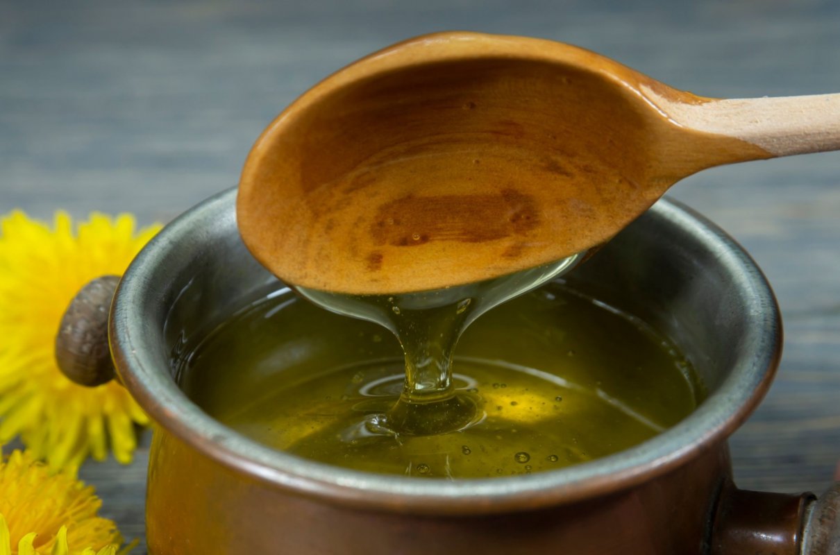 Podbiał: właściwości lecznicze, przepisy, charakterystyka