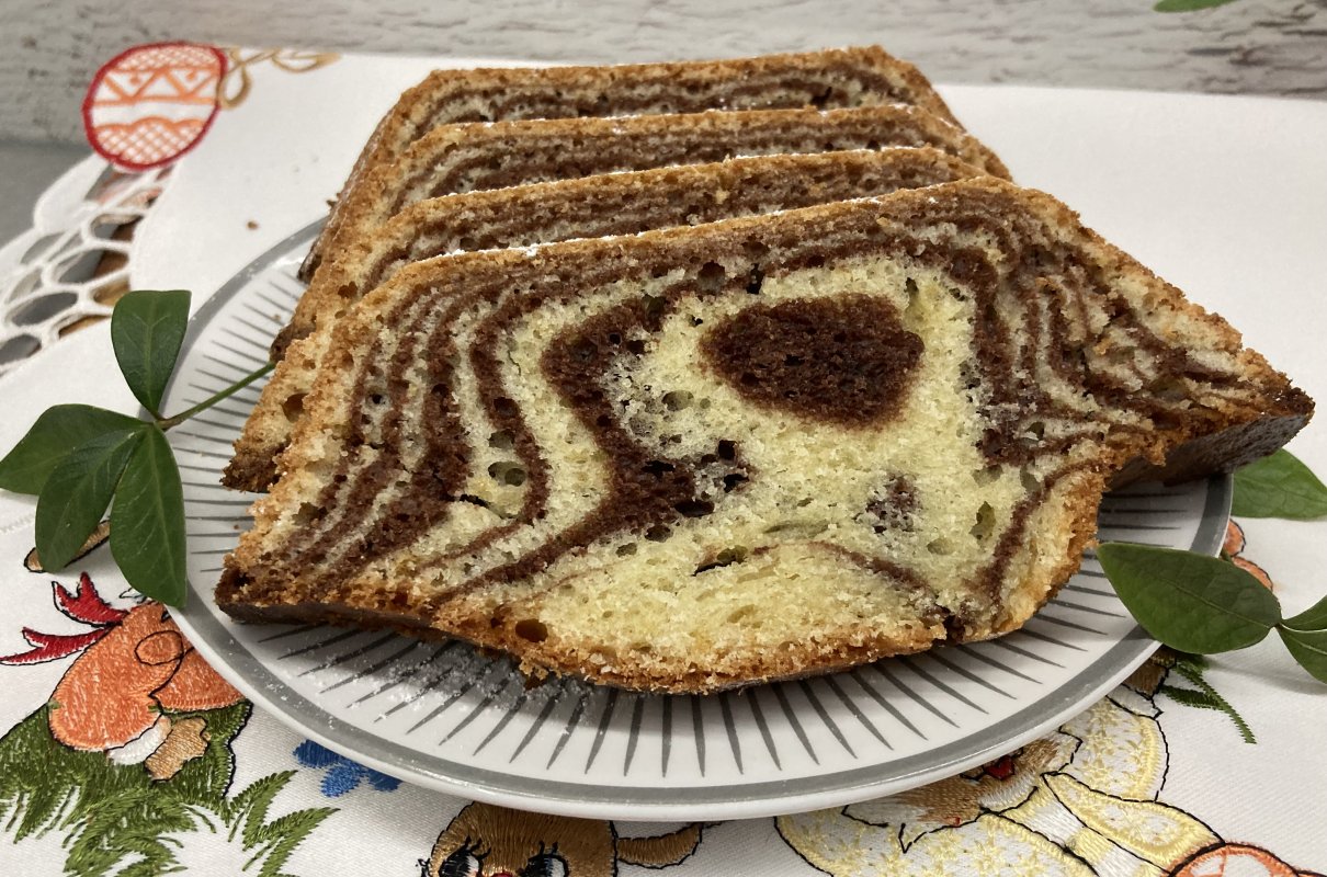 Babka zebra