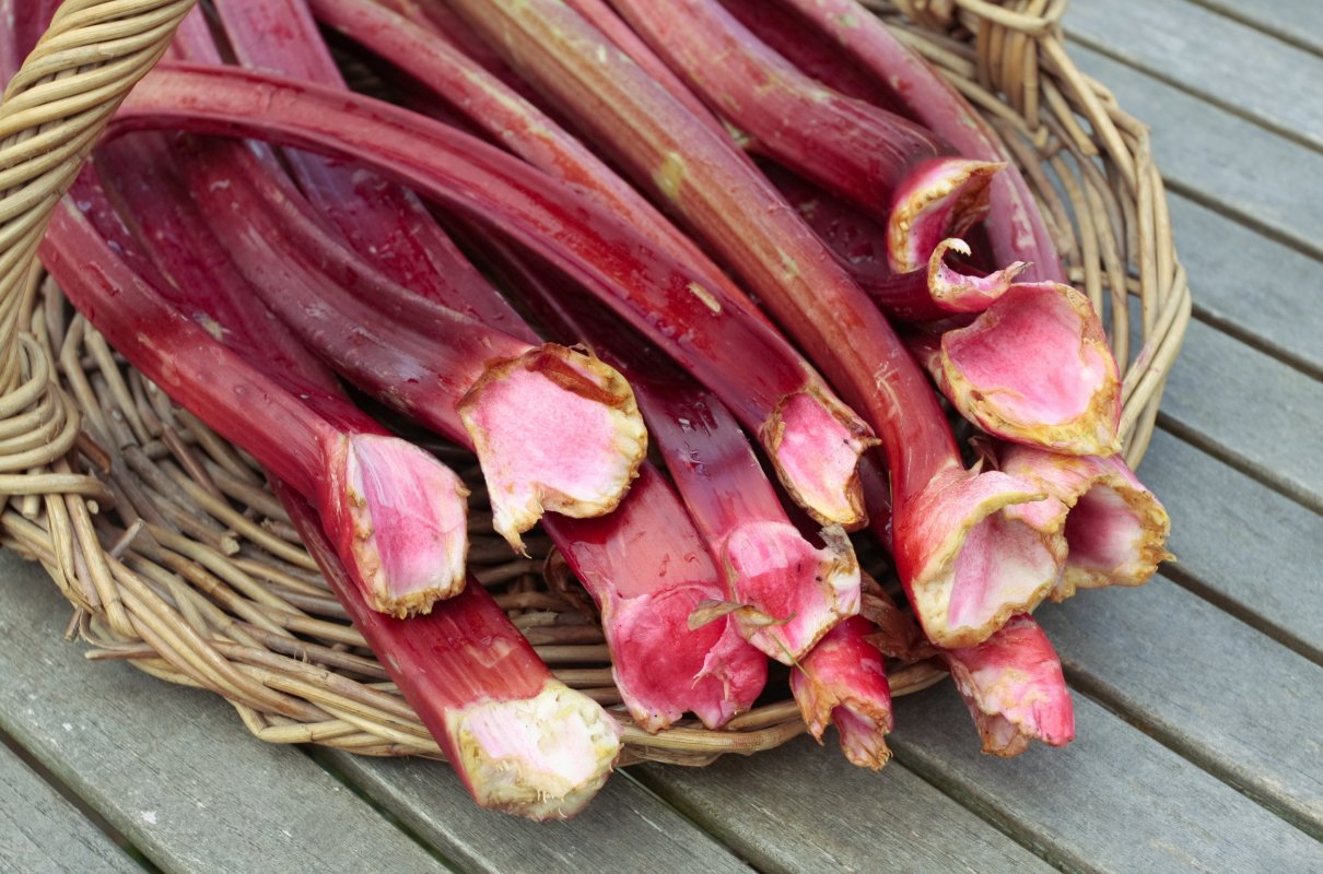 Dlaczego warto jeść rabarbar? Nietypowe dania z rabarbarem