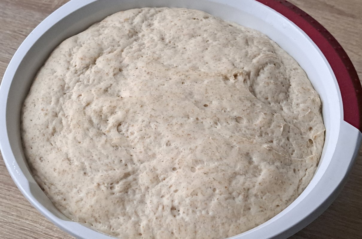 Wyrośnięte ciasto drożdżowe na chleb Pszenno - żytni